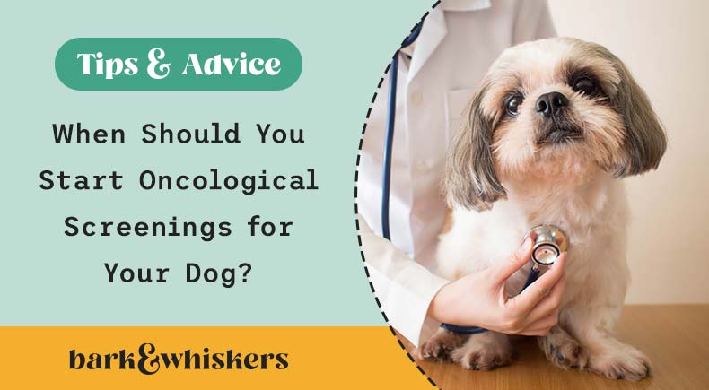 When Should You Start Oncological Screenings for Your Dog?
