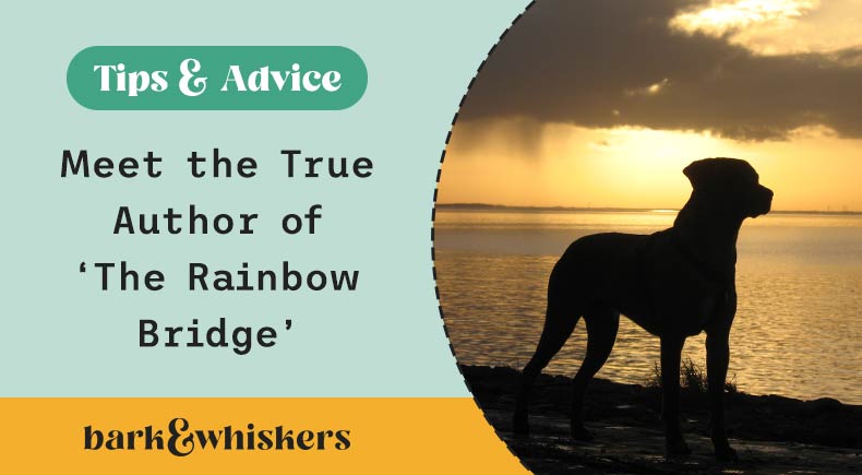 The Rainbow Bridge: Who Wrote This Comforting Pet Parent’s Poem?