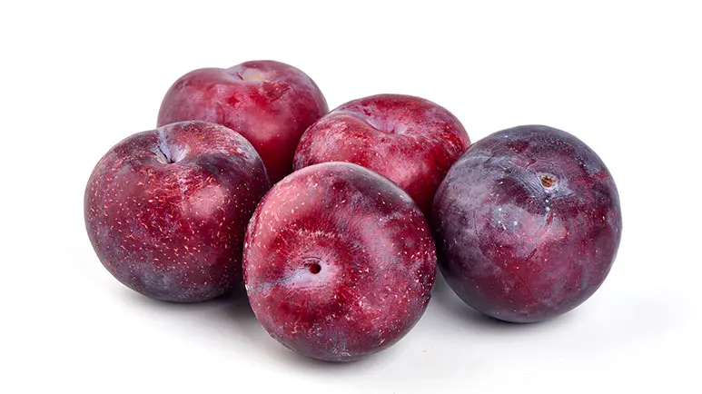 Is Plum Good for Pets?