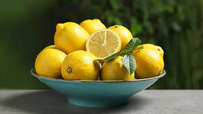 Can You Feed Lemon to Your Pet?