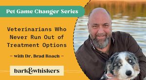 Veterinarians Who Never Run Out of Treatment Options